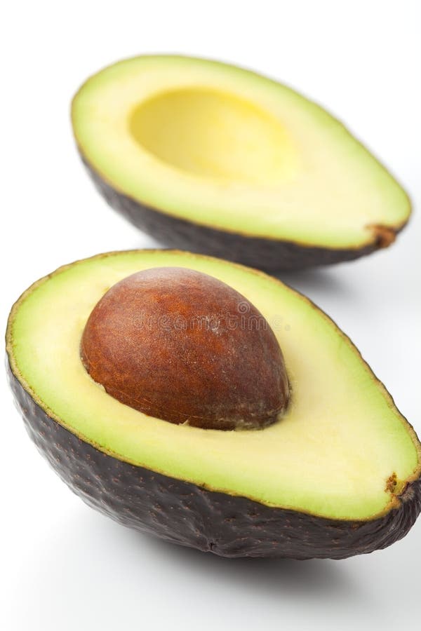 Avocado stock photo. Image of dark, food, avacado, fruit - 23543360