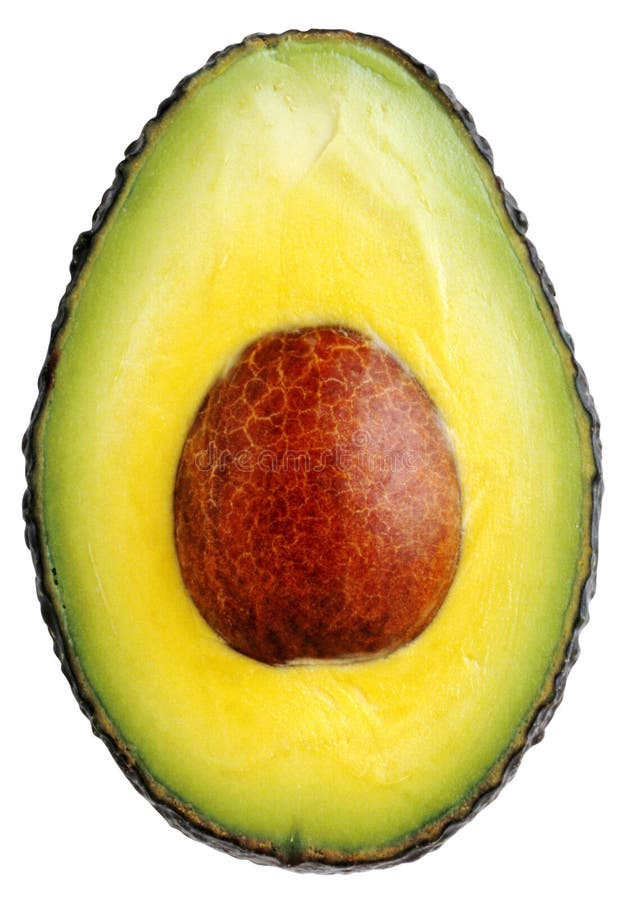Avocado stock image. Image of single, shaped, shot, studio - 20549309