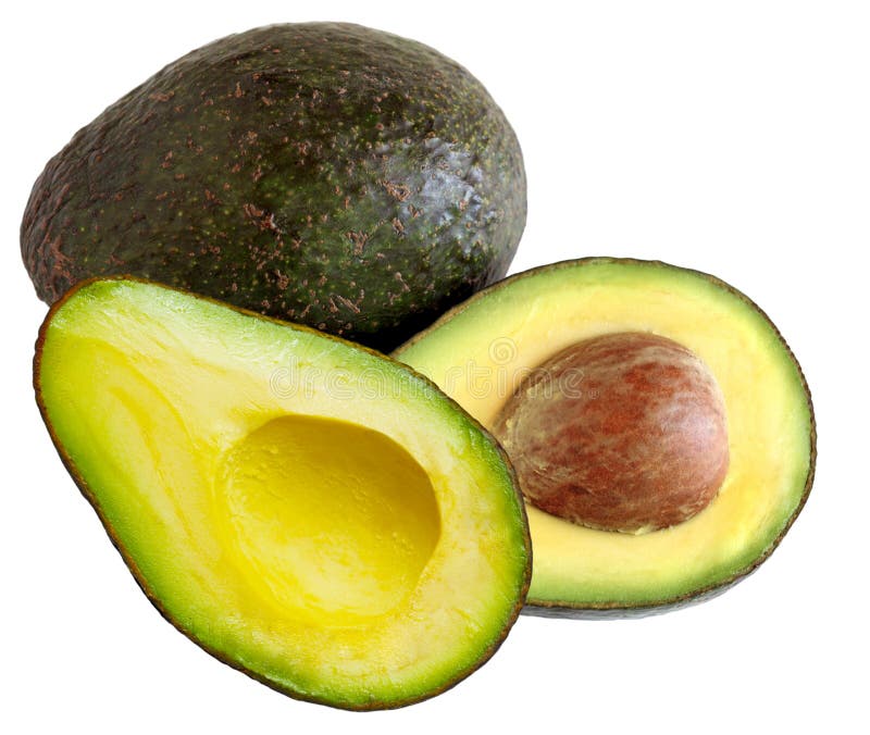 Avocado stock photo. Image of dark, food, avacado, fruit - 23543360