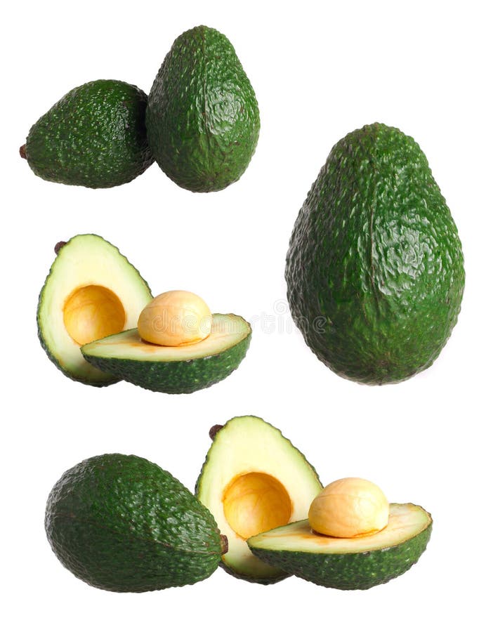 Green Avocado Avocados, Many Angles and View Side Top Front Sliced ...