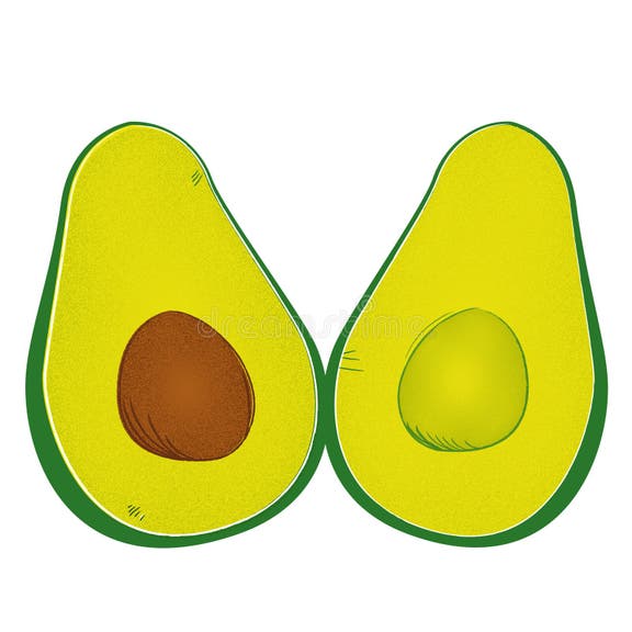 Delicious Avocado Vector Stock Illustrations – 16,808 Delicious Avocado ...