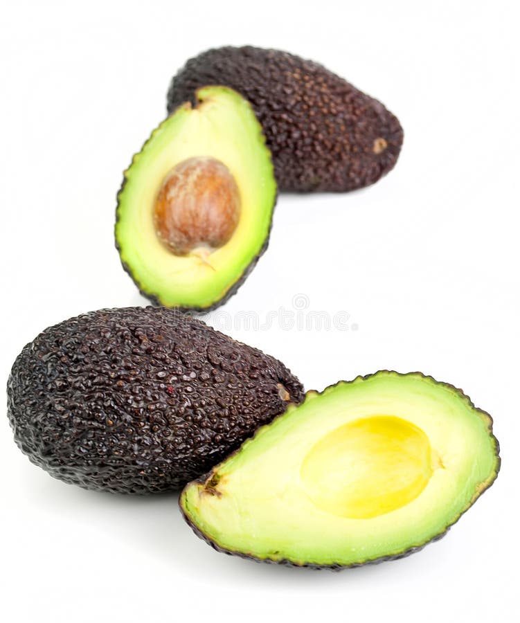Avocado stock photo. Image of white, ingredient, seed - 2544146