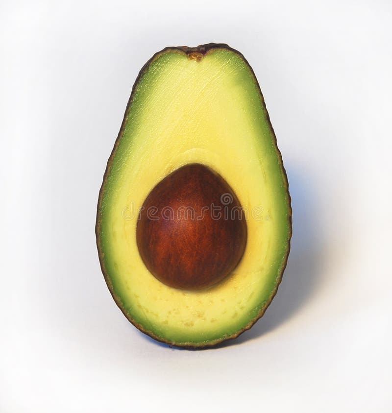 Avocado stock photo. Image of white, ingredient, seed - 2544146