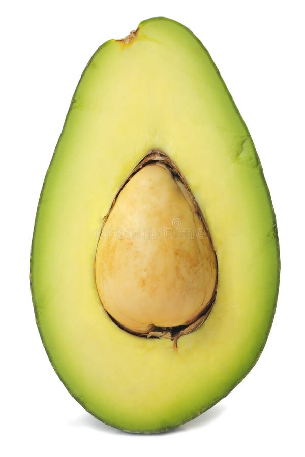 Avocado stock photo. Image of delicious, avacado, vegetable - 5025436