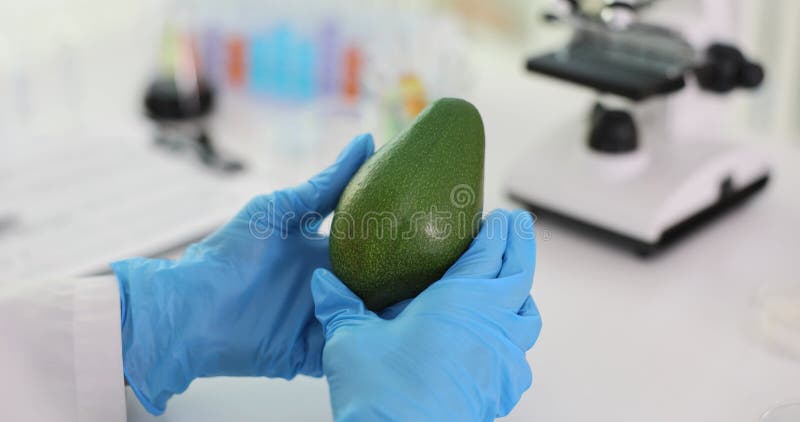 Avocado Analysis for Quality Control in Laboratory Stock Video - Video of chemist, check: 316695269