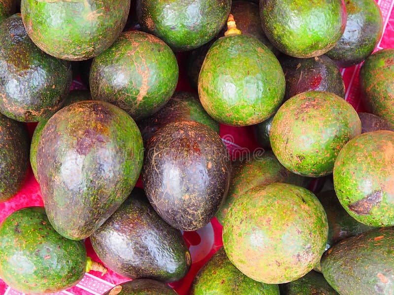 Avocado stock photo. Image of yellow, ingredient, vegetarian - 103378556