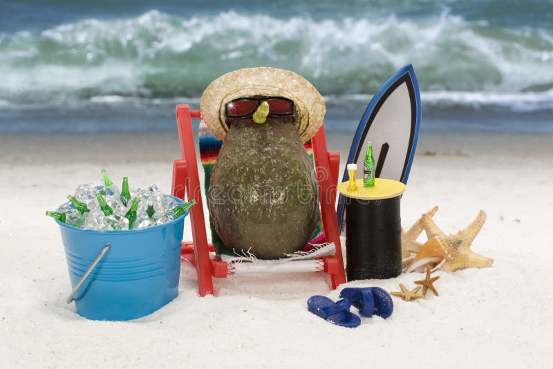 Avocado Family at Beach stock photo. Image of vacation - 14698718