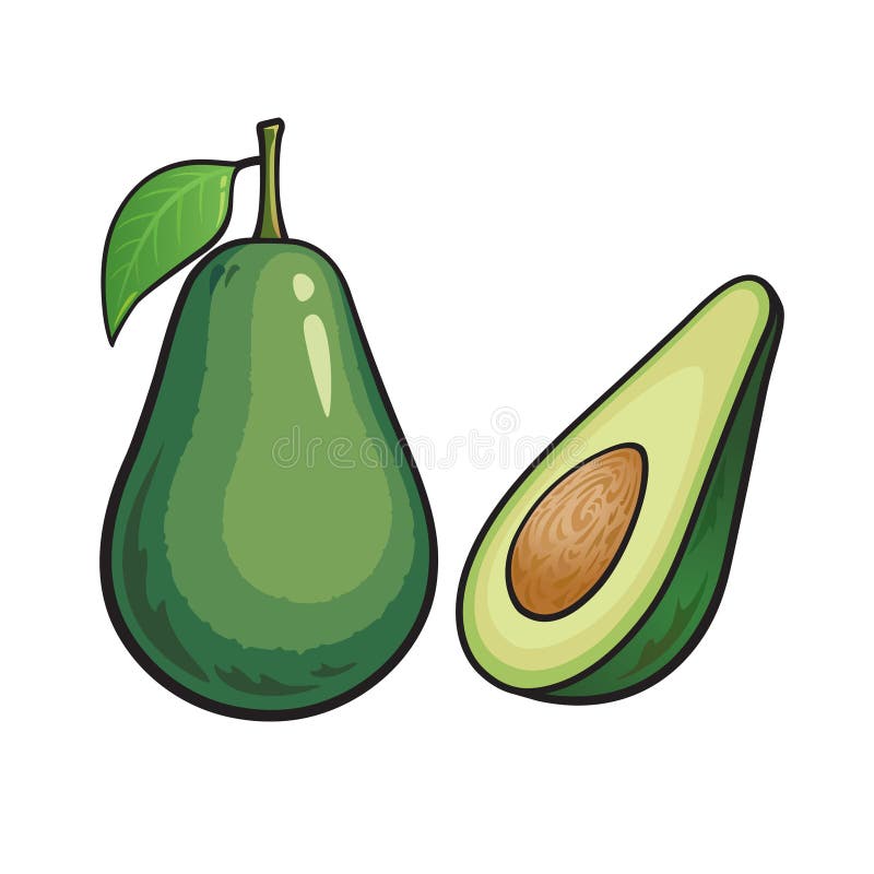 Avocado in Cartoon Style Stiker on White Background on Isolated ...