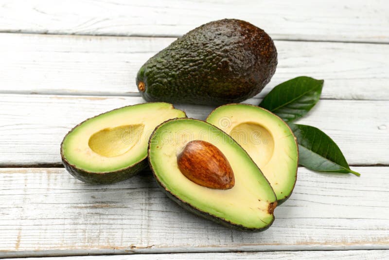 Avocado Close-Up Composition Stock Illustration - Illustration of ...