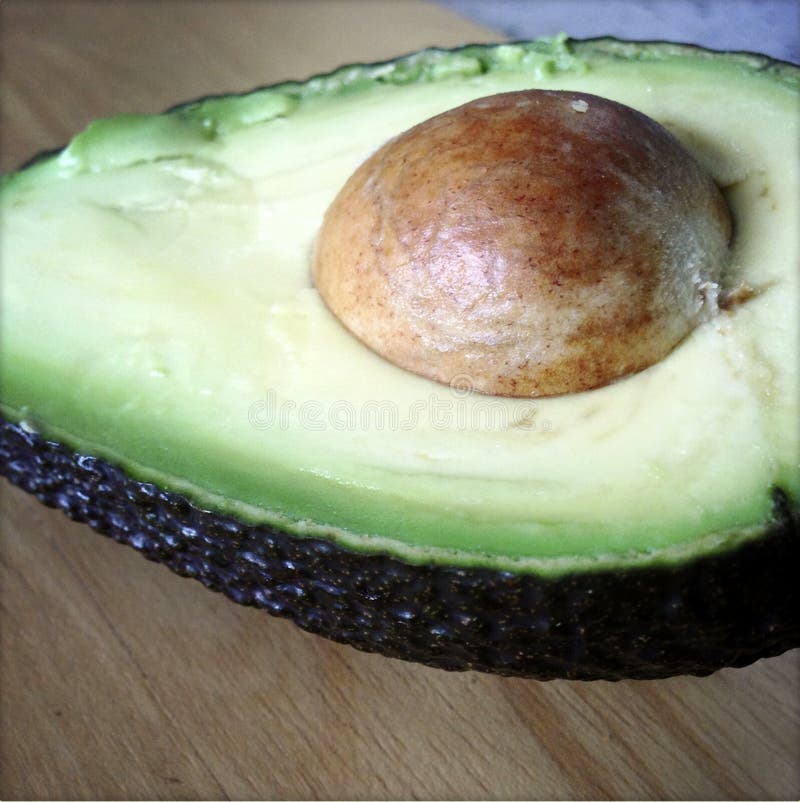Avocado stock photo. Image of healthy, freshness, exotic - 33250732