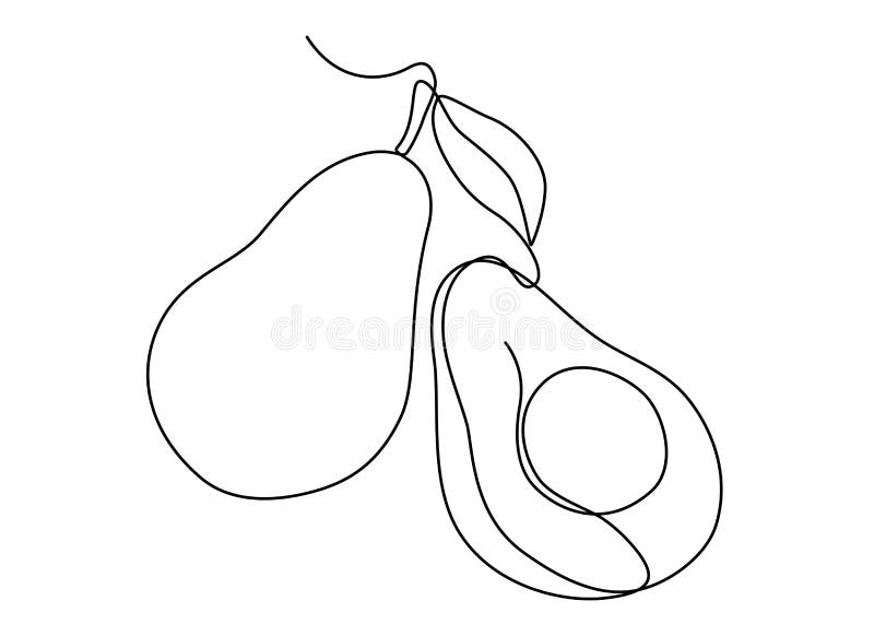 Avocado Continuous Line Drawing Vector Stock Vector - Illustration of ...