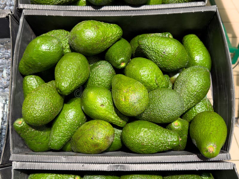 Avocado on the Counter in the Market Stock Image - Image of vegetable ...
