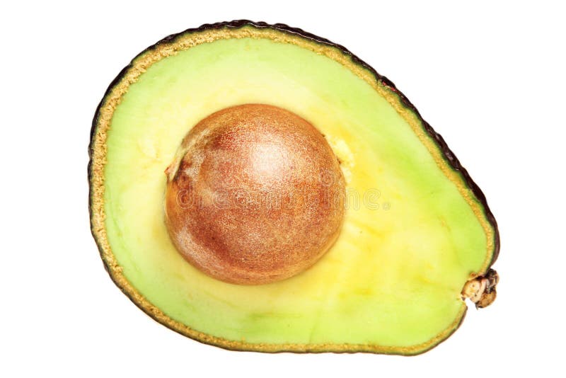 Avocado cut in half stock photo. Image of portion, avocado - 69197498