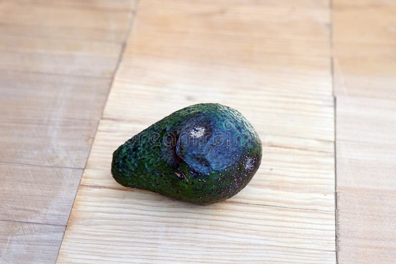 Avocado Disease on Fruit from Fungus Stock Photo - Image of disease ...