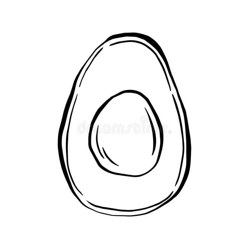 Avocado Doodle Black Line Drawing, Simple Sketch Style, Outline Vector ...