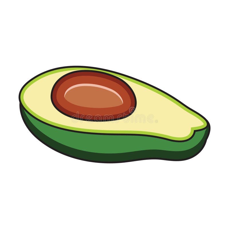 Avocado Drawing Vector Illustration Graphics Stock Vector ...