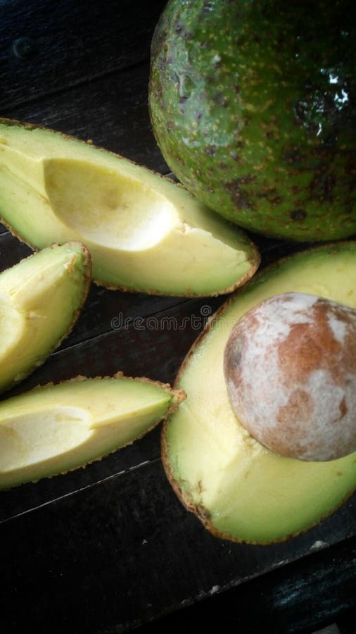 Avocado stock photo. Image of nature, healhty, avocado - 44932414