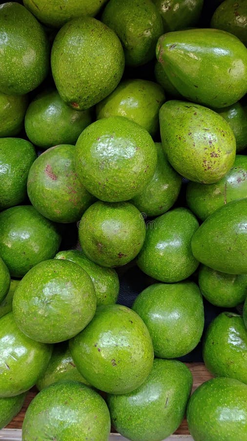 Avocado is a Fruit that is Often Processed into Juice and is One of the ...