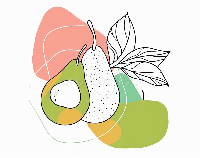 The Avocado Fruit Outline Modern Illustration Shows the Fruit As a ...