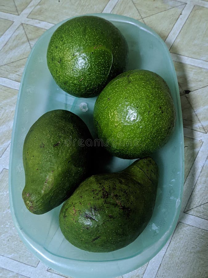Avocado Fruit in a Plastic Container Stock Photo - Image of dish ...