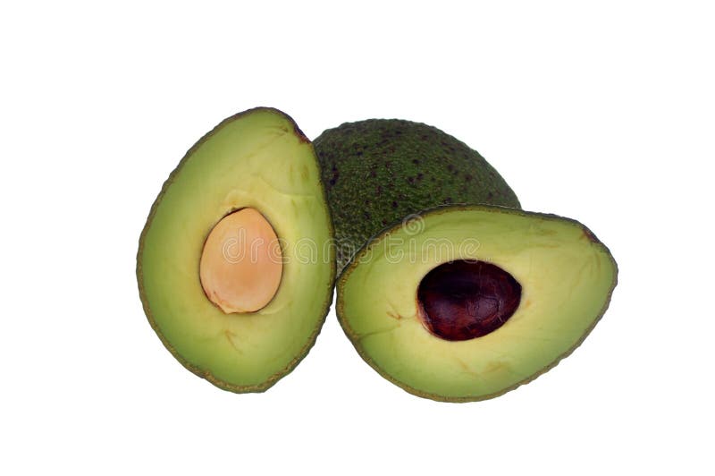 Avocado half isolated stock photo. Image of acid, nature - 14802946