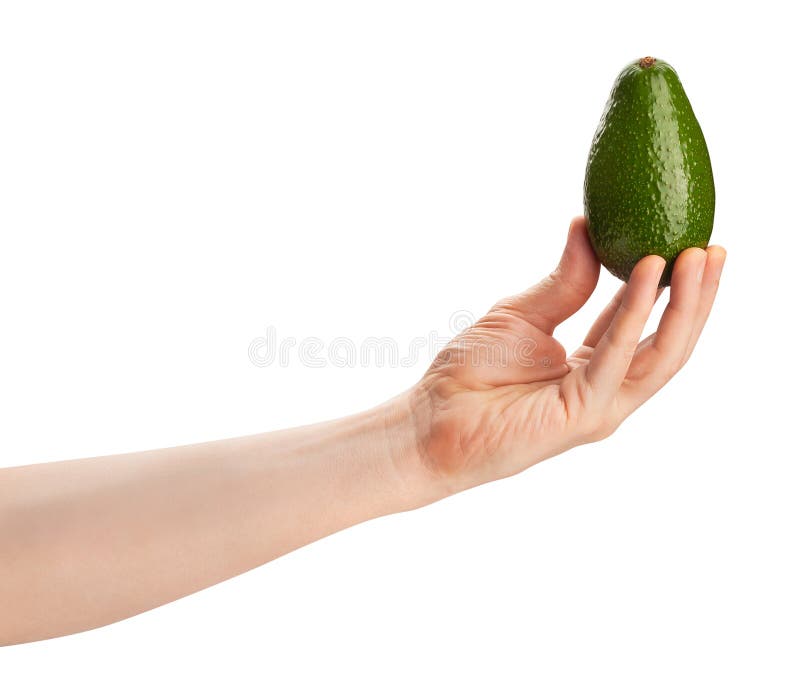 Avocado in Hand Path Isolated Stock Photo - Image of studio, fruit ...