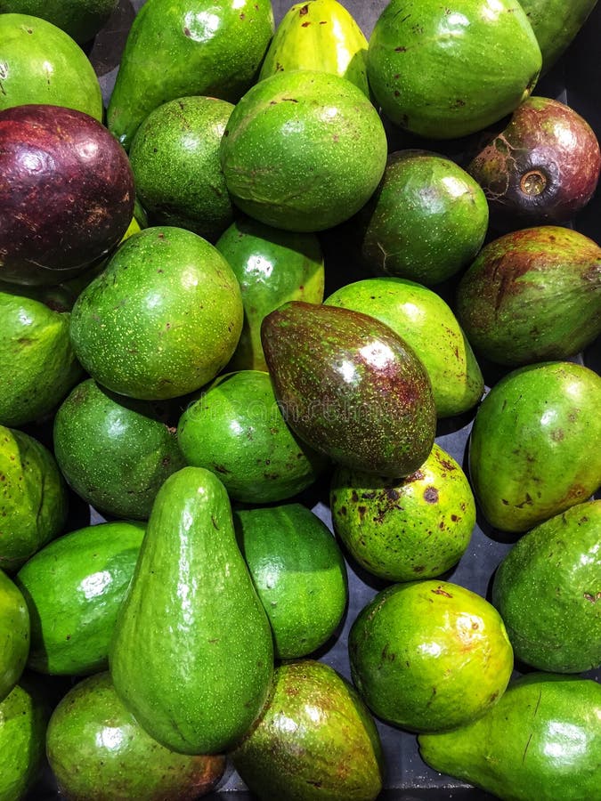 Avocado stock photo. Image of taste, avocado, unique - 209302064