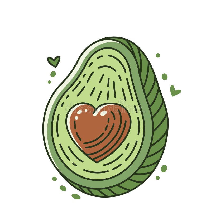 Avocado Icon in Linear Style on White Background. Flat Illustration ...
