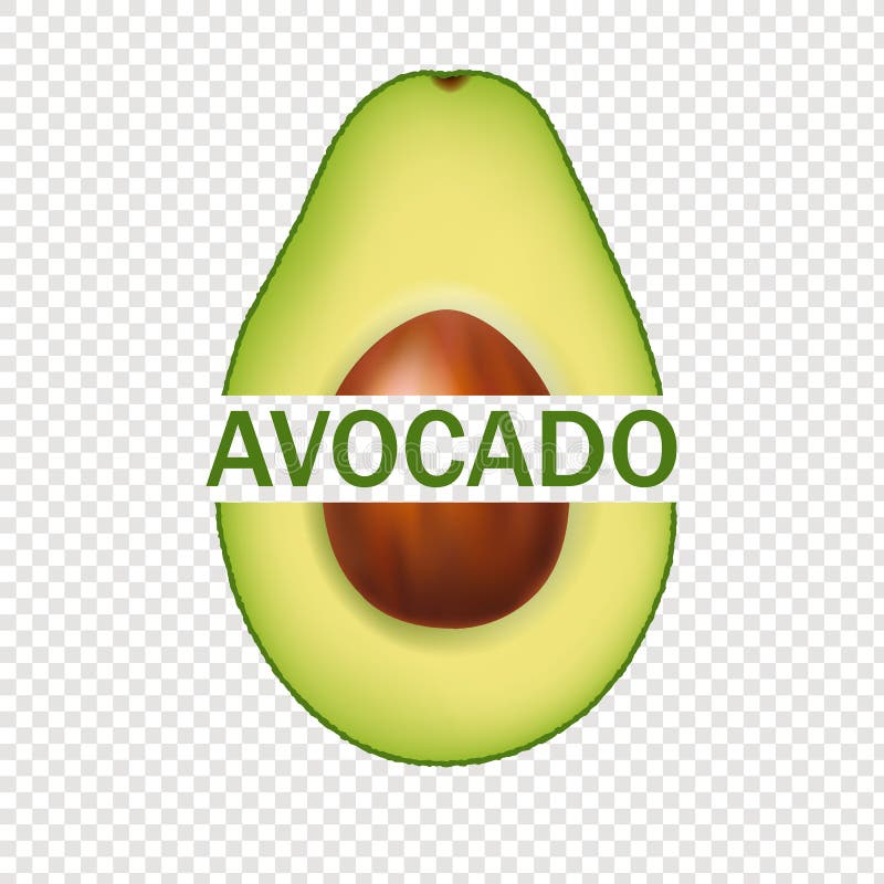 Fresh Avocado with Transparent Background Stock Vector - Illustration ...