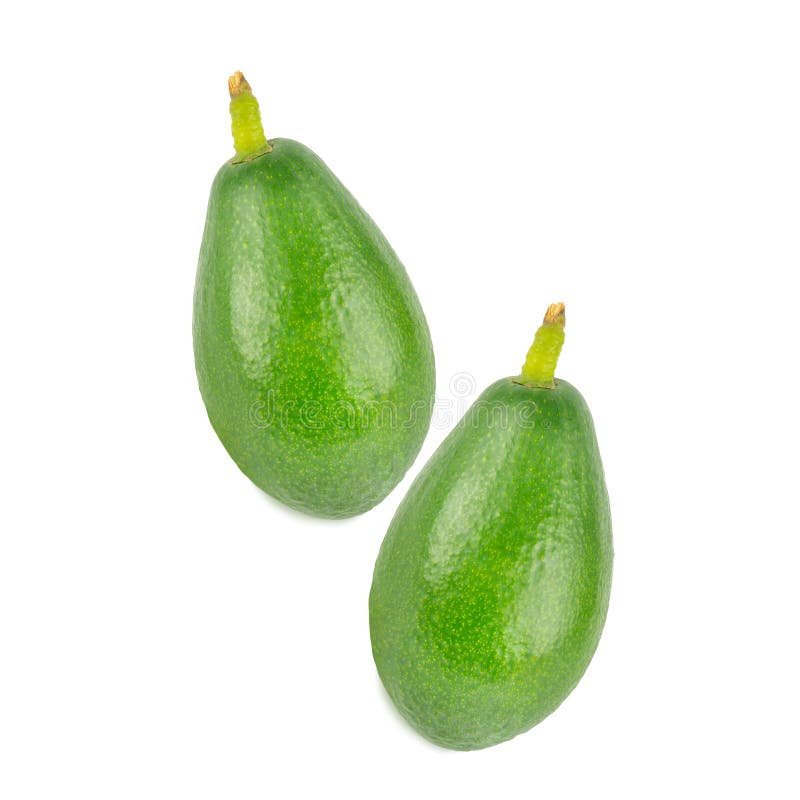 Avocado Isolated on White . Collage Stock Image - Image of freshness ...
