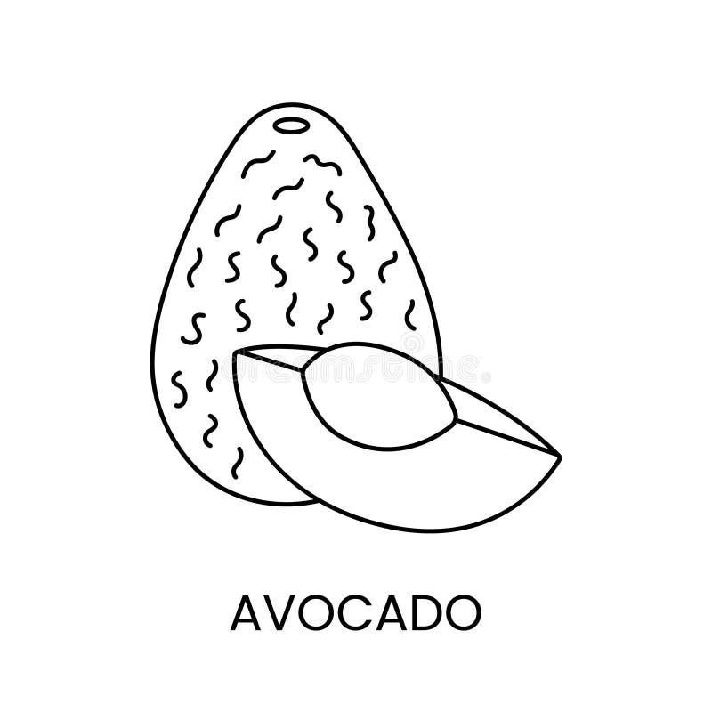 Avocado Line Icon in Vector, Fruit Illustration. Stock Vector ...