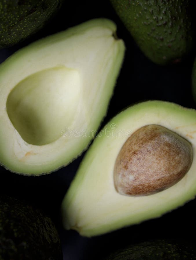 Avocado macro picture stock photo. Image of outer, emerald - 249018120