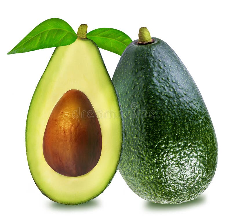 Avocado Op Wit Wordt Geïsoleerd Dat Stock Afbeelding - Image of ...