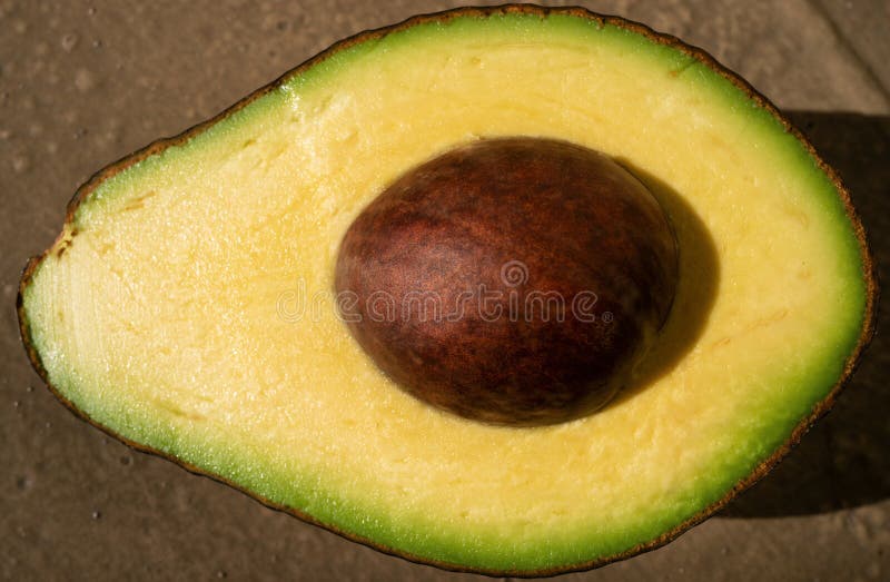 Avocado and Avocado Pieces Macro, Close Up. Stock Photo - Image of ...