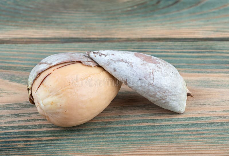 Avocado Pit Dried Stock Photos - Free & Royalty-Free Stock Photos from ...