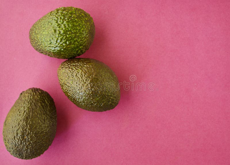 Avocado on Purple Minimal Background Stock Image - Image of nature ...
