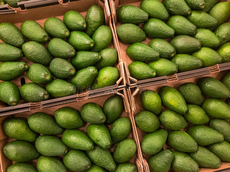 Avocado. for Sale in the Market. a Living Fragment from a Fruit and ...