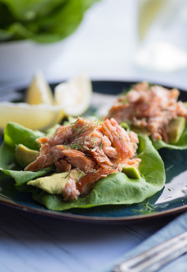Avocado Salmon Wrap stock photo. Image of lemon, lettuce - 49113860