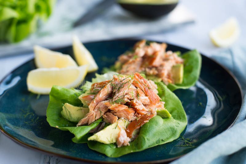 Avocado Salmon Wrap stock photo. Image of lemon, lettuce - 49113860