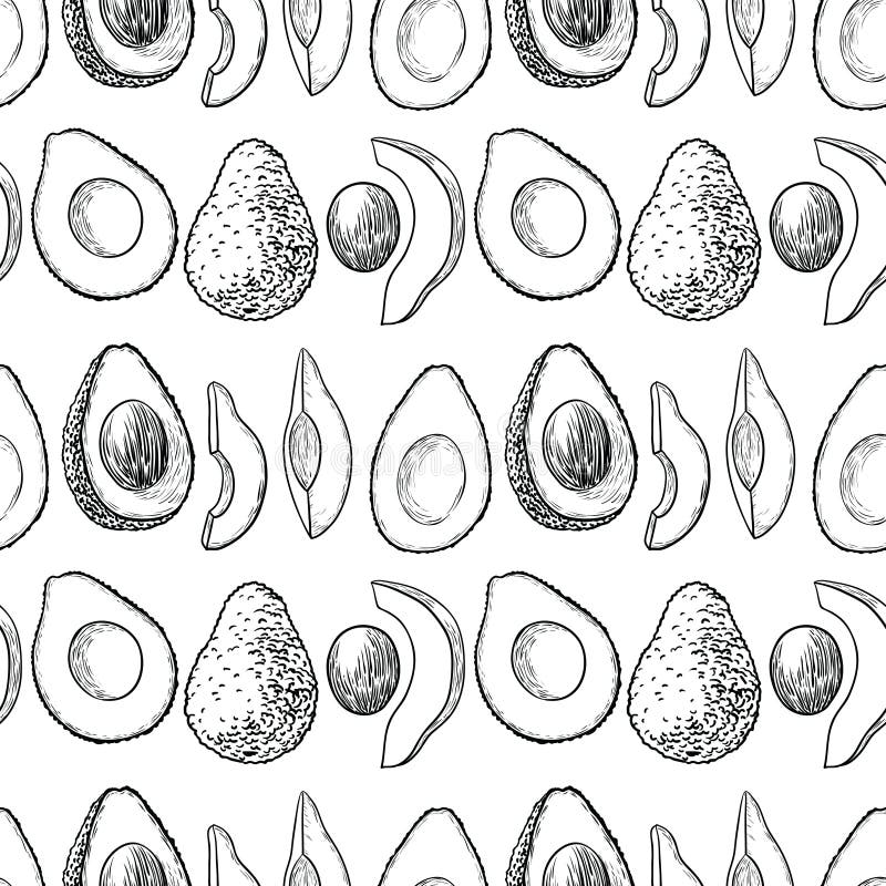 Avocado Outline Stock Illustrations – 10,569 Avocado Outline Stock ...