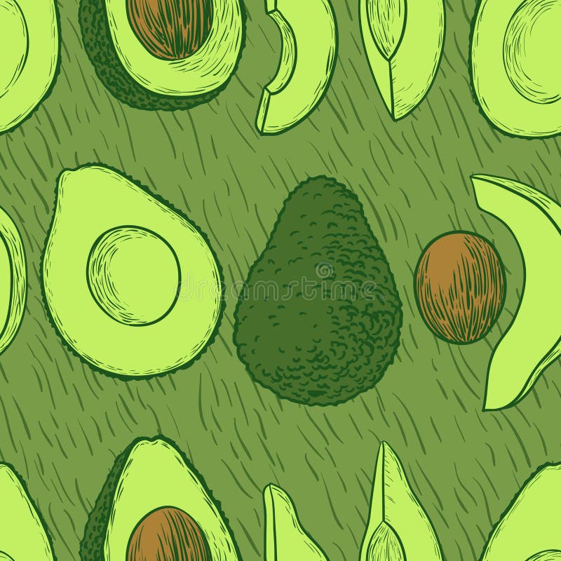 Avocado Seamless Pattern. Hand Draw Illustration on Isolated White ...