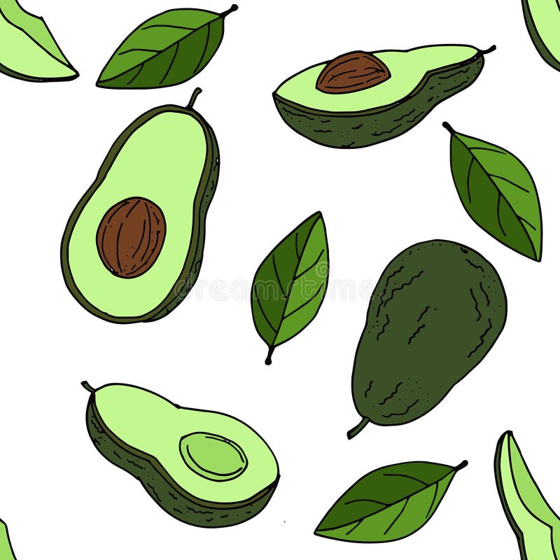Avocado Seamless Pattern by Hand Drawing on White Backgrounds. Stock ...