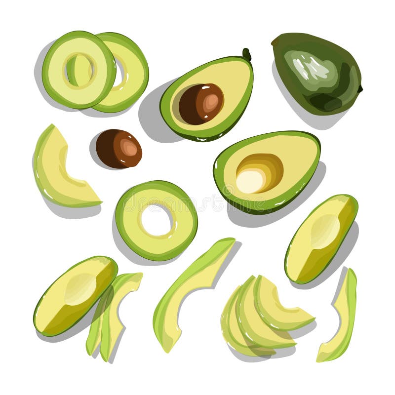 Avocado Set. Bright Green Whole Fruit , Half, Slice, with Bone Stock ...