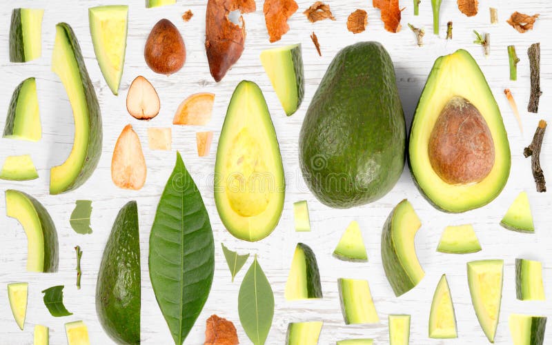 Avocado Slice and Leaf Collection Stock Photo - Image of core, object ...