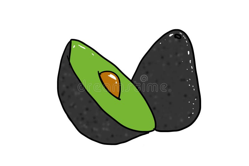 Avocado Split Half Illustration Stock Illustrations – 7 Avocado Split ...