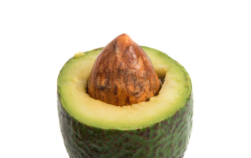 Avocado with Stone Isolated Stock Image - Image of freshness, fruit ...