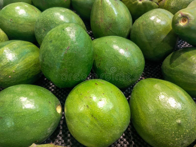 Fruit Salad Tree Same Stock Photos - Free & Royalty-Free Stock Photos ...