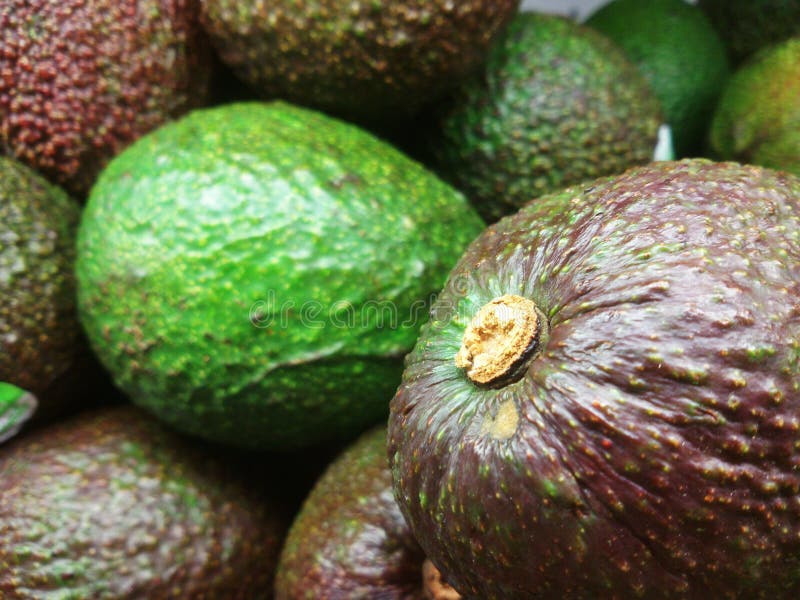 Avocado texture stock photo. Image of avocado, fresh - 48841818