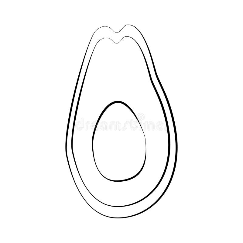 Avocado in a Thin Line. Vector on a White Background Stock Vector ...