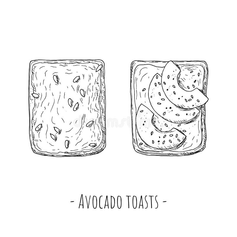 Avocado Toasts. Top View. Hand-drawn Style Stock Vector - Illustration ...